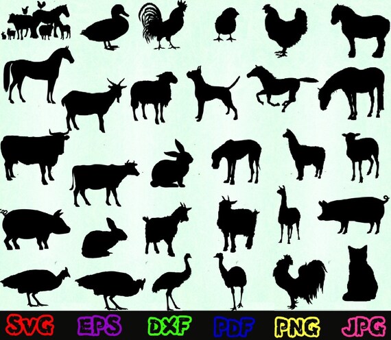 Farm Animal Svg Animal Svg Farm Svg Farm Life Svg | Etsy Canada