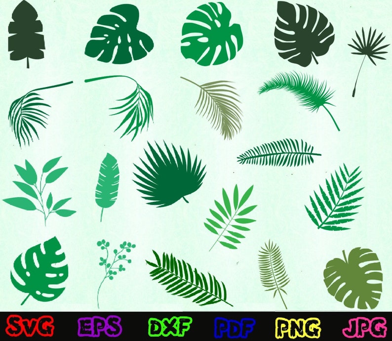 Tropical Leaves Svg Tropical Svg Leaves Svg Leaf Svg - Etsy