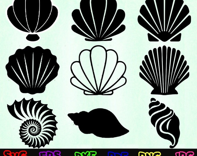 Seashell SVG | Seashell SVG Bundle | Seashell Cut Files | Seashell ...