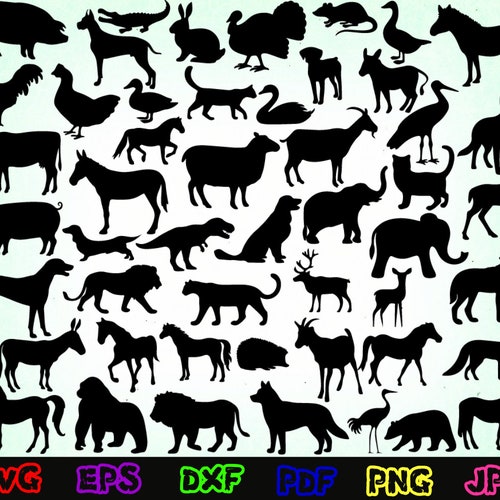 Forest Animals SVG Bundle Animal Silhouettes Woodland - Etsy