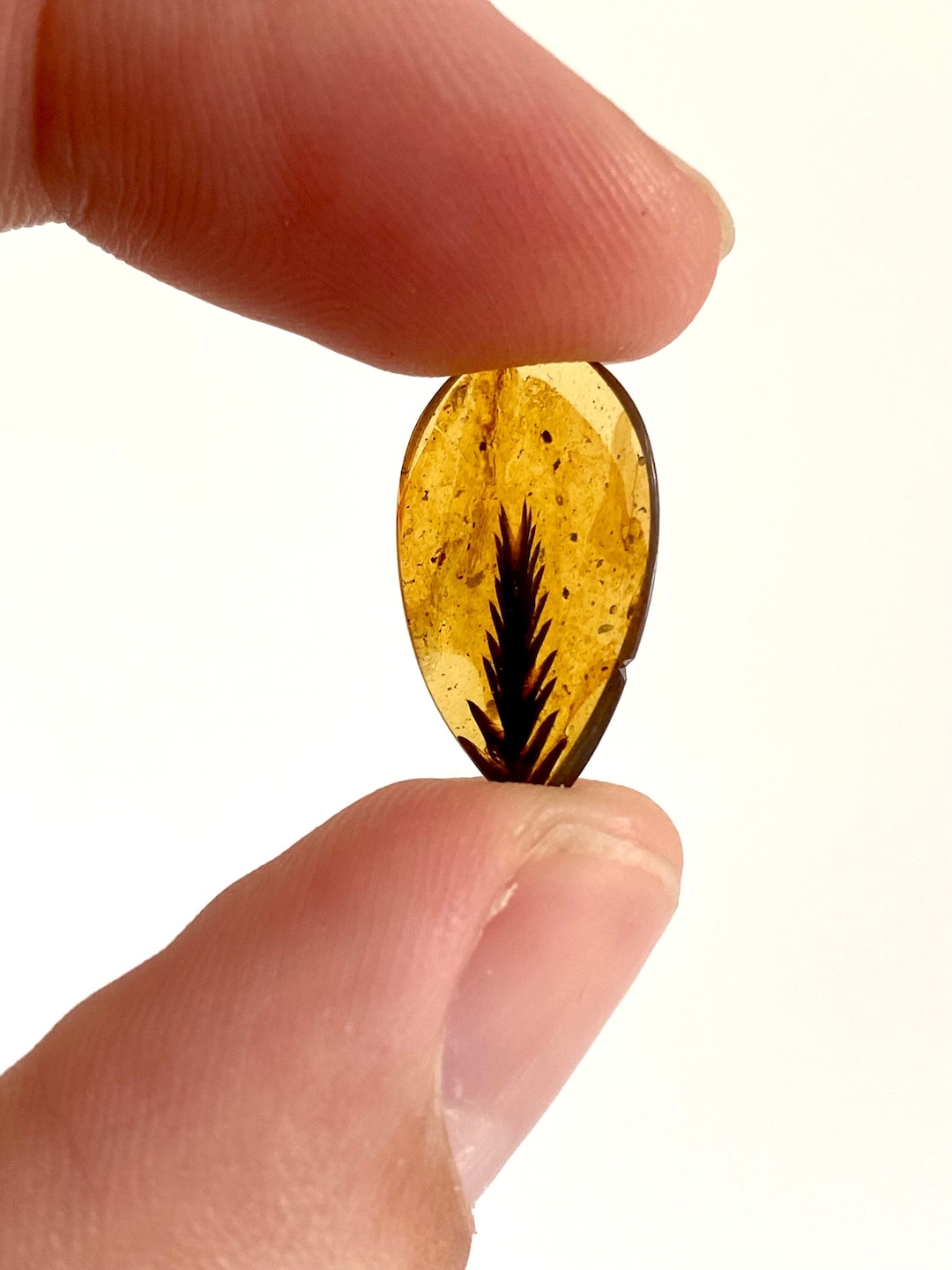 Burmese Amber With Plant Leaf Inclusion Fossil Resin - Etsy