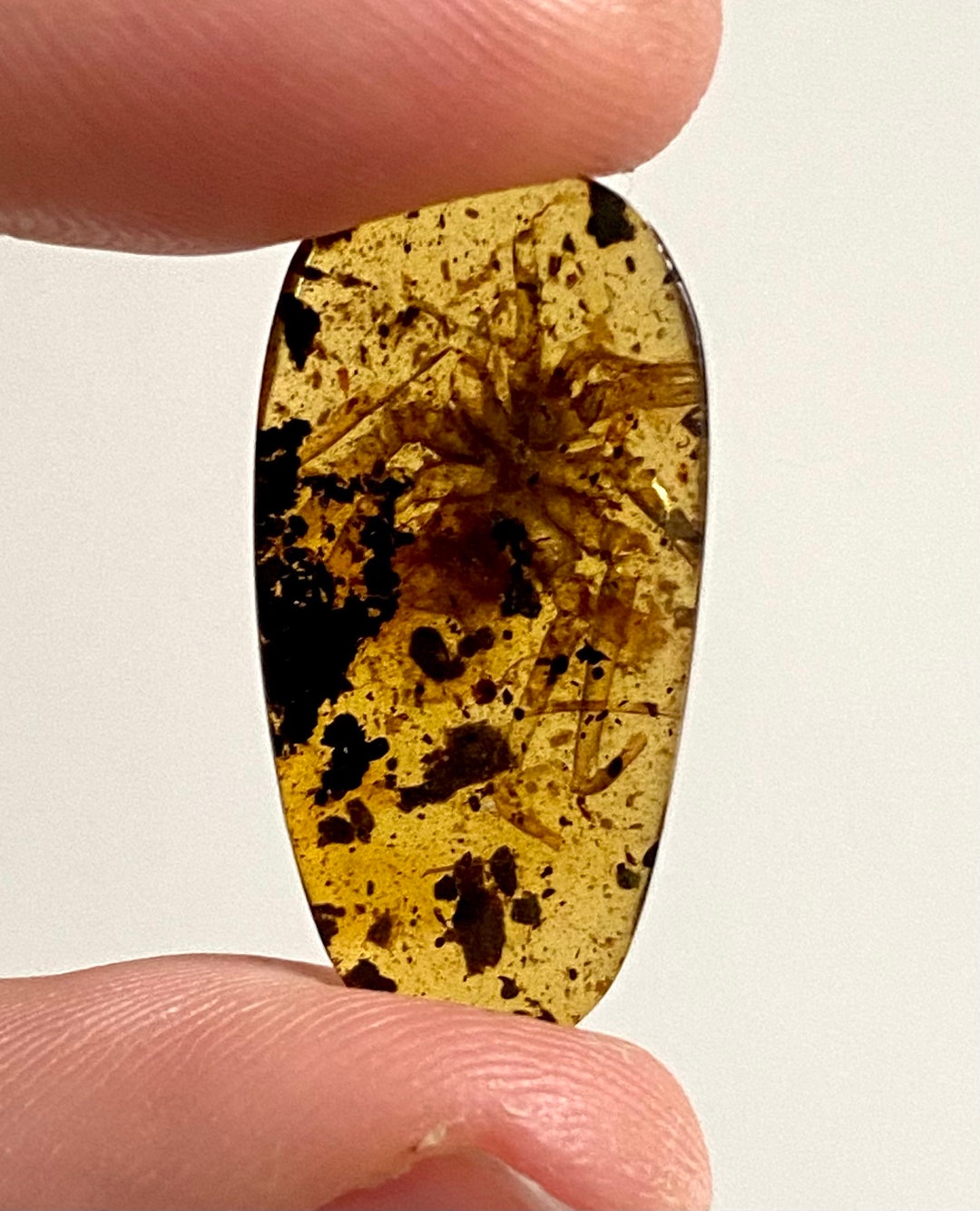 Spider in Burmese Amber, Fossil Tree Resin - Etsy