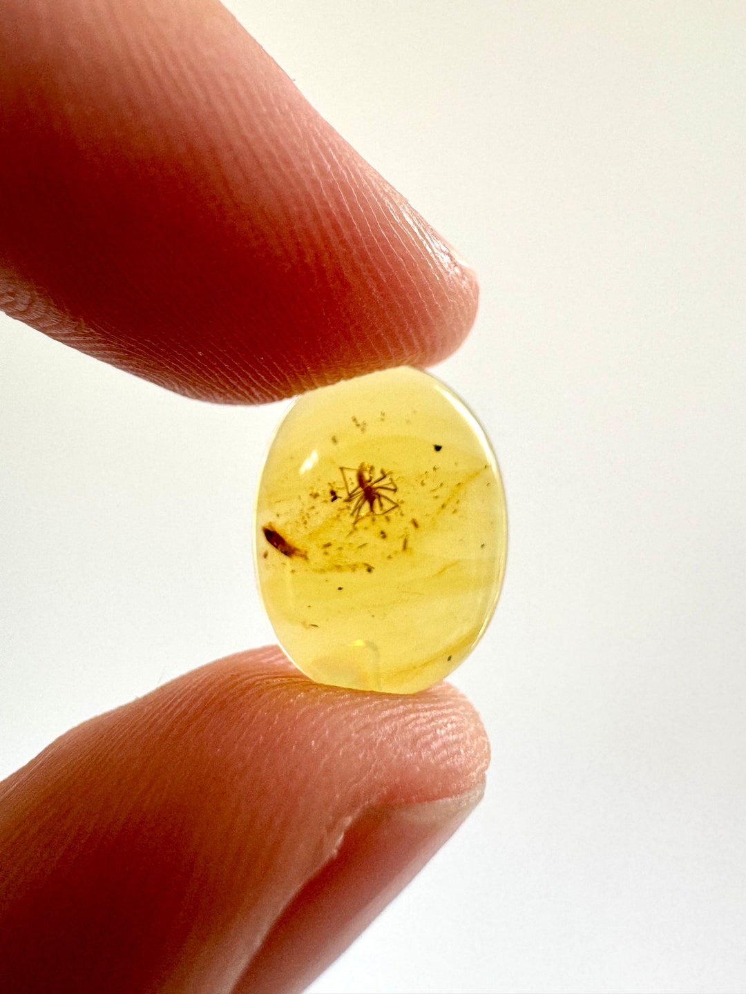 Burmese Amber Fossil With Spider Insect (burmite Amber) - Etsy