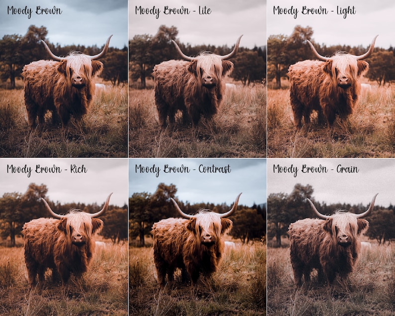6 MOODY BROWN Presets, Lightroom Mobile Presets, Moody Presets, Brown ...