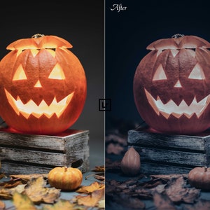 6 Scary Halloween Lightroom Presets: Moody Dark Photo Filters, Horror ...