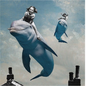 DOLPHIN CROSSING - Dreamlike Art Collage, Giclee Print, Surreal, Retro ...