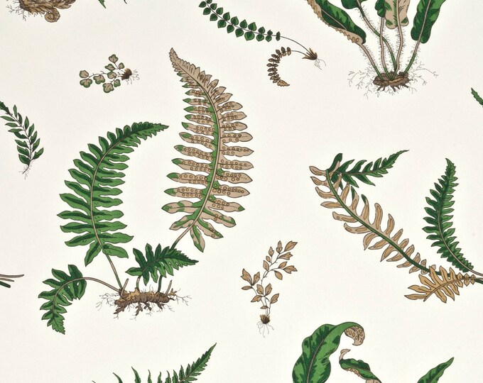 Lee Jofa GP and J Baker Ferns Fabric - Fern Leaves - Iconic English ...