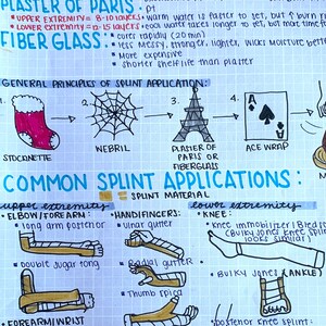 Splinting Reference Guide for Medical Students - Etsy