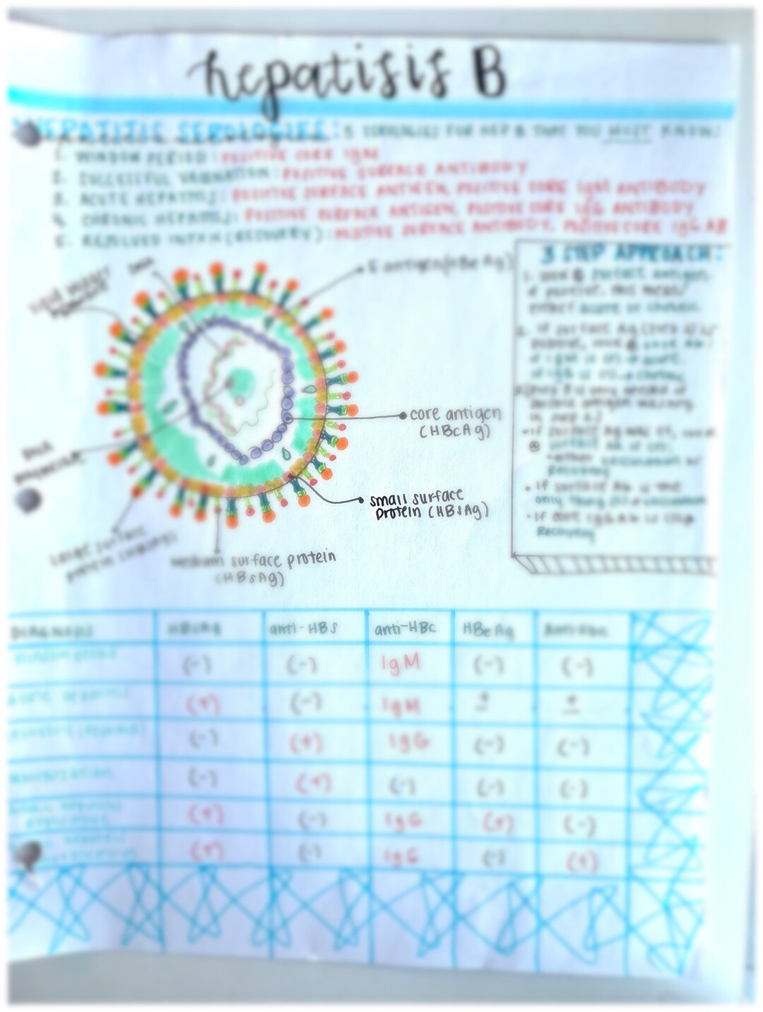 GI Notes Hepatitis B Reference Guide - Etsy