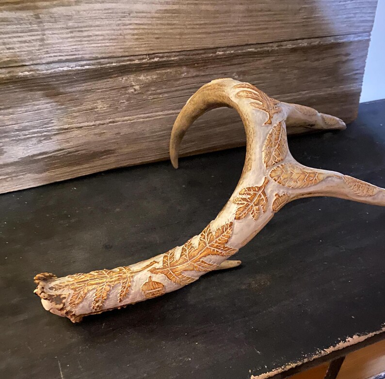 Authentic Carved Whitetail Antler - Etsy
