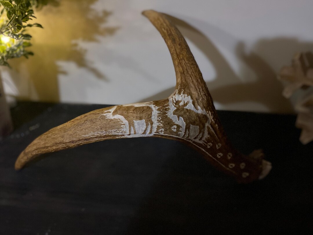 Authentic Carved Moose Antler - Etsy