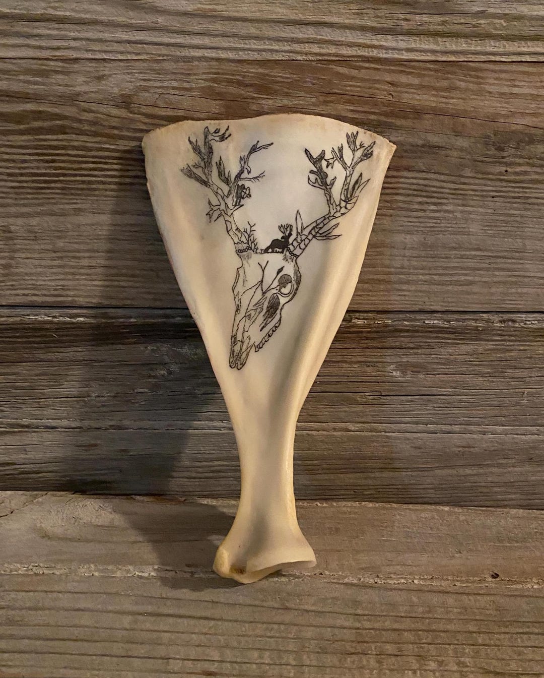 Scrimshawed Authentic Whitetail Shoulder Blade - Etsy