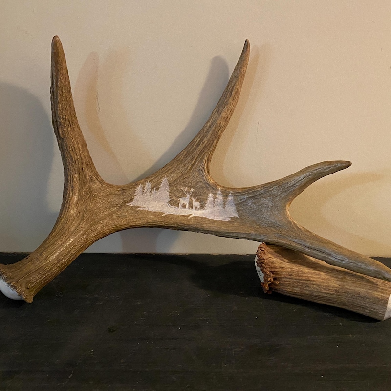 Moose Antler Carving - Etsy