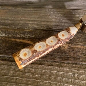 Antler Handle Mini Hunter Knife - Etsy