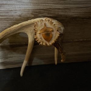 Authentic Carved Whitetail Antler - Etsy