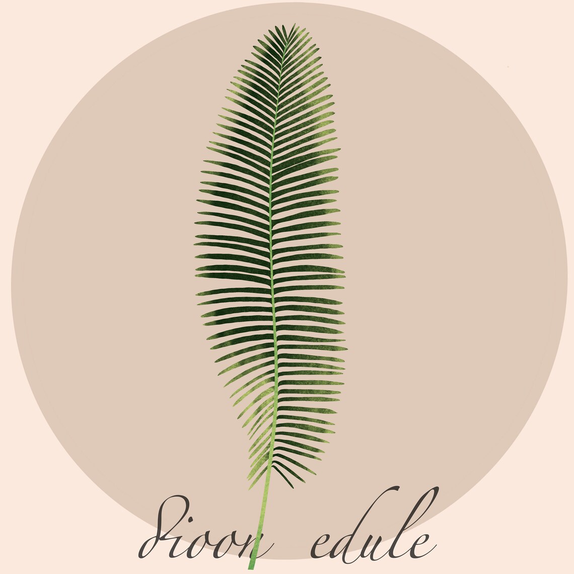 Dioon Edule Plant Digital Print Botanical Plant Art - Etsy