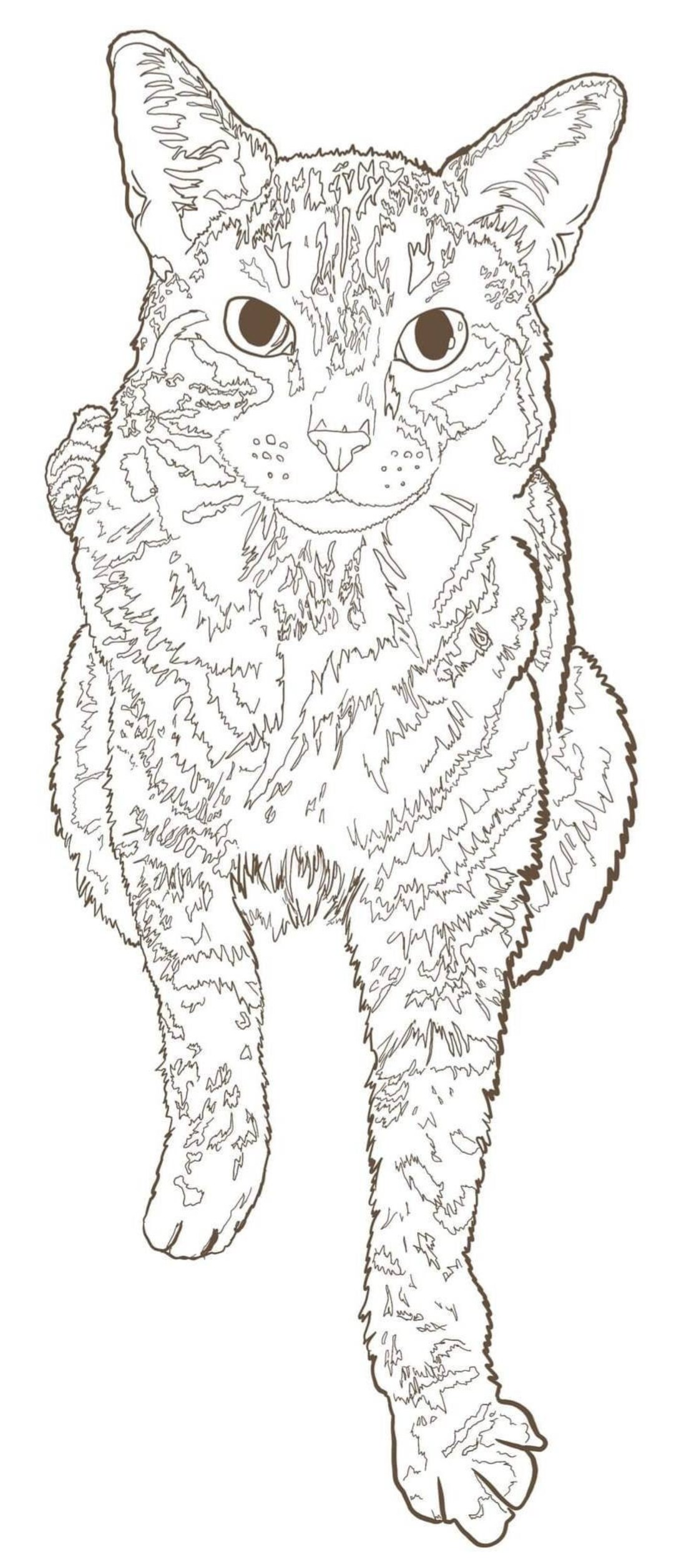 Pet Coloring Page, Custom Your Cat, Dog, Frog, or Favorite Animal ...