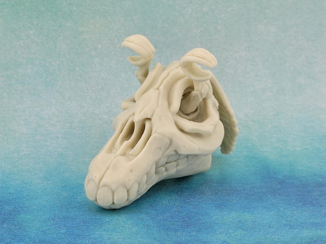 3D Printed Gungan Skull: Star Wars Sci-fi Collectible - 4" Bone PLA - Etsy