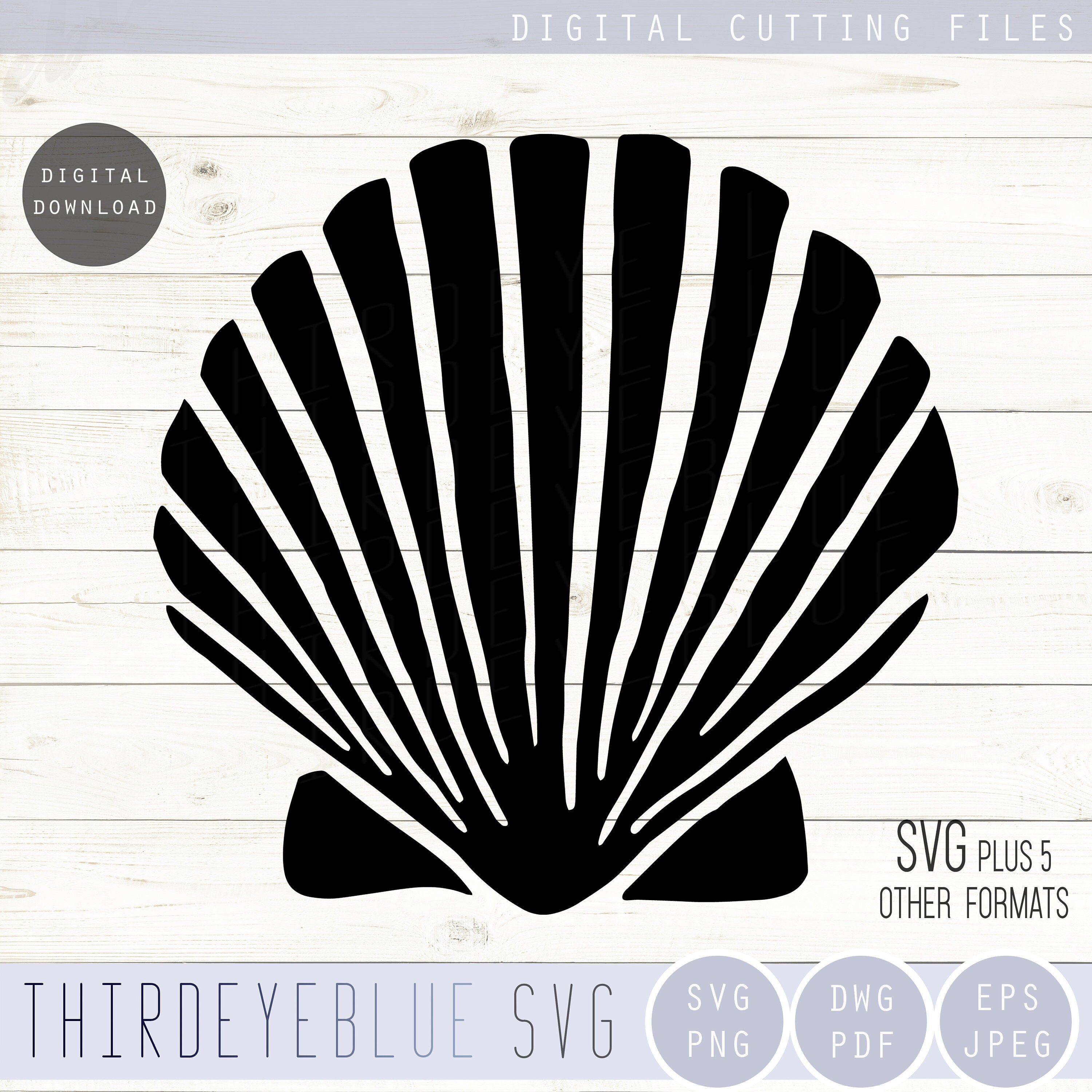 Seashell SVG Beach SVG Shell Svg Seashell Cut File Shell - Etsy UK