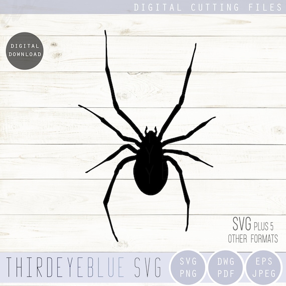 Spider SVG Spider Silhouette SVG Red Back Spider Svg Home - Etsy