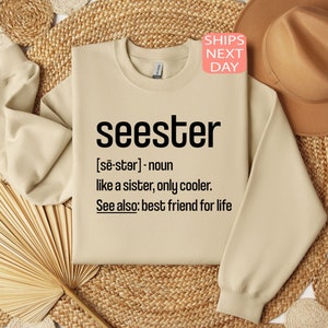Seester Noun Sweatshirt, Seester Definition Shirt, Gift for Sister ...