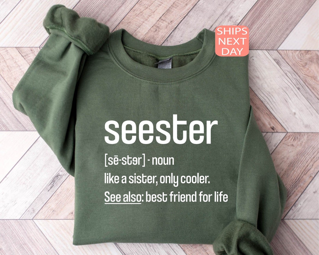 Seester Noun Sweatshirt, Seester Definition Shirt, Gift for Sister ...