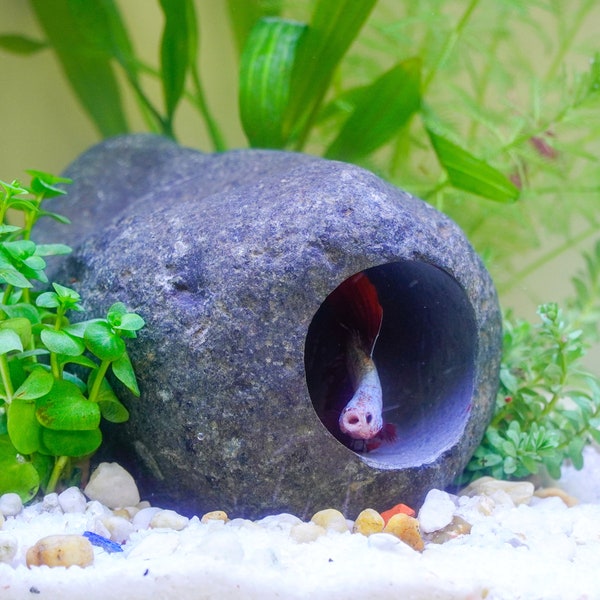 Aquarium Cave - Etsy