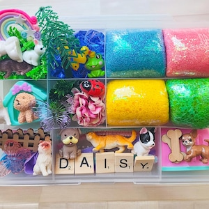 Pet Playdough Kit, Animal Sensory Bin, Toddler Birthday Gift, Preschool ...