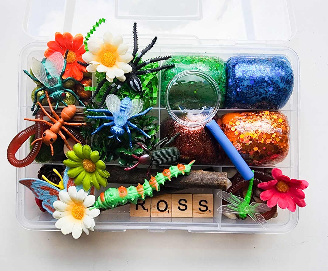 Bug Playdough Kit, Insect Sensory Bin, Sensory Play, Kids Personalized ...