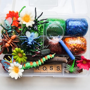 Bug Playdough Kit, Insect Sensory Bin, Sensory Play, Kids Playdough ...