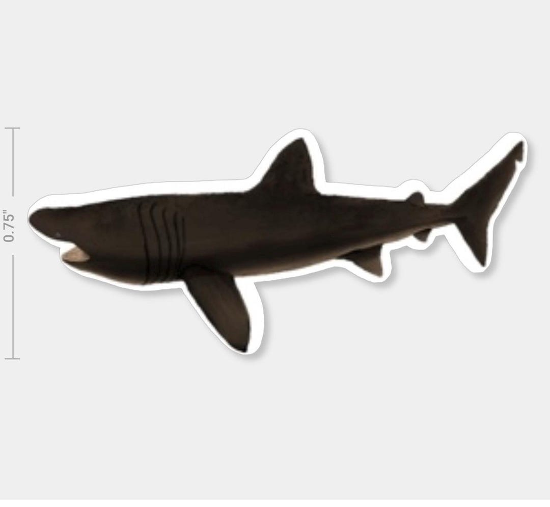 Toned Tan Basking Shark Sticker - Etsy