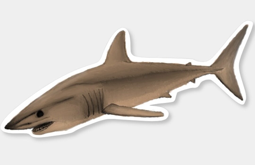 Toned Tan Mako Shark Sticker - Etsy