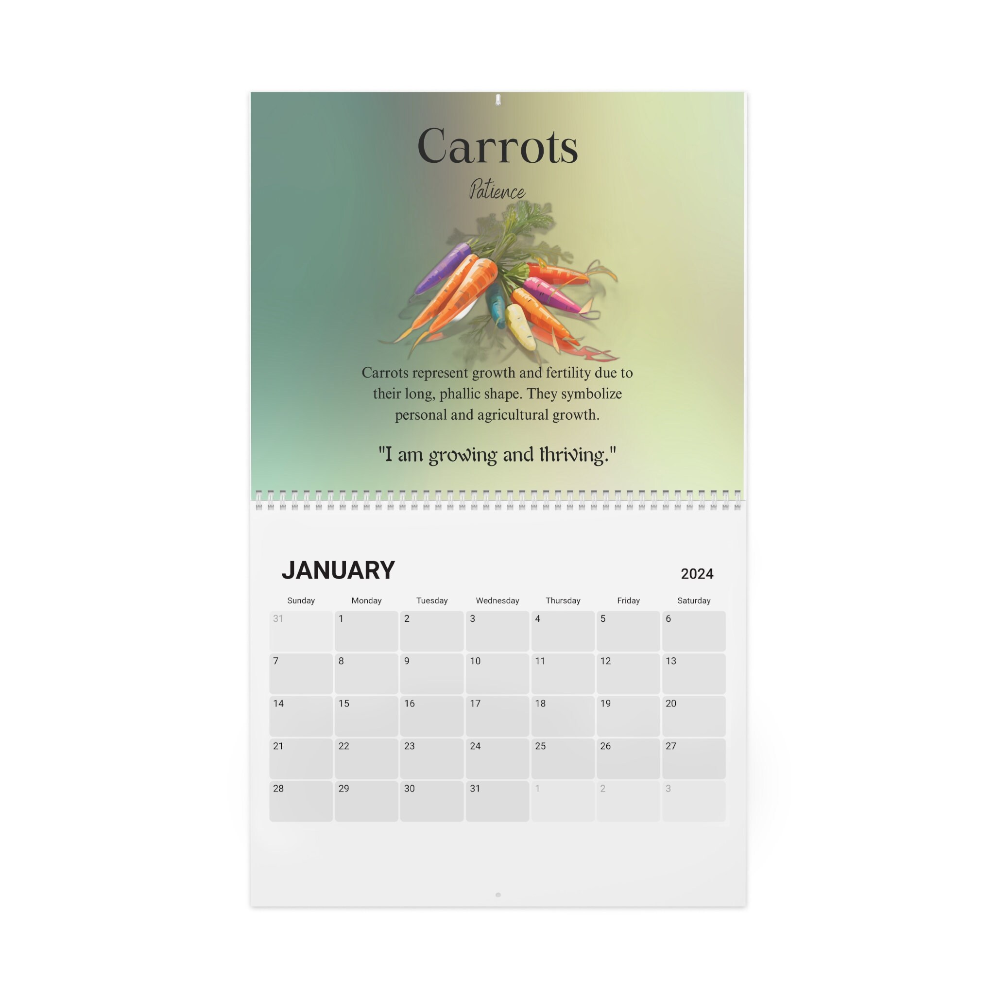 Affirmations 2024 Wall Calendar, Motivational Calendar, Monthly ...