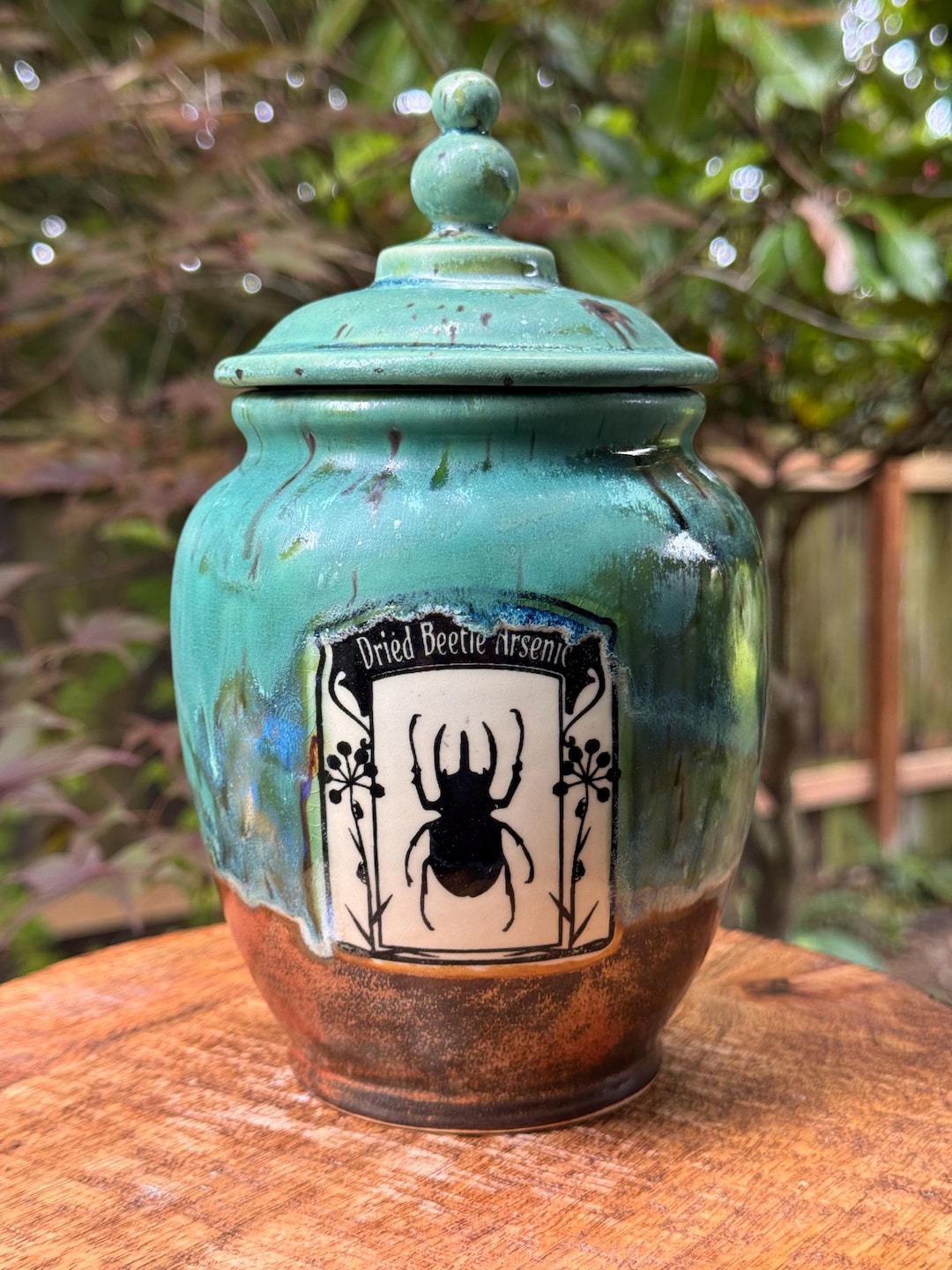 Dried Beetles Apothecary Jar - Etsy