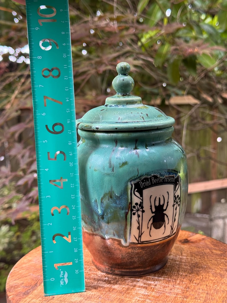 Dried Beetles Apothecary Jar - Etsy