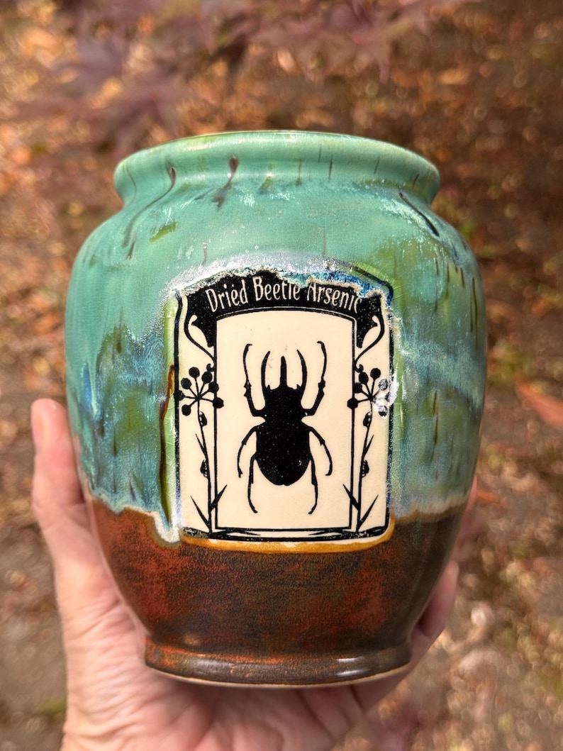 Dried Beetles Apothecary Jar - Etsy