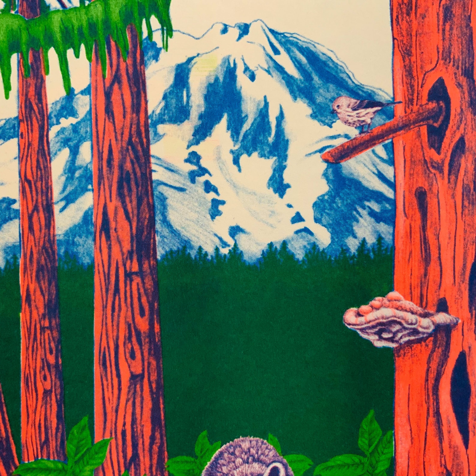 PNW Nature Scene Riso Print 11” X 17” - Etsy