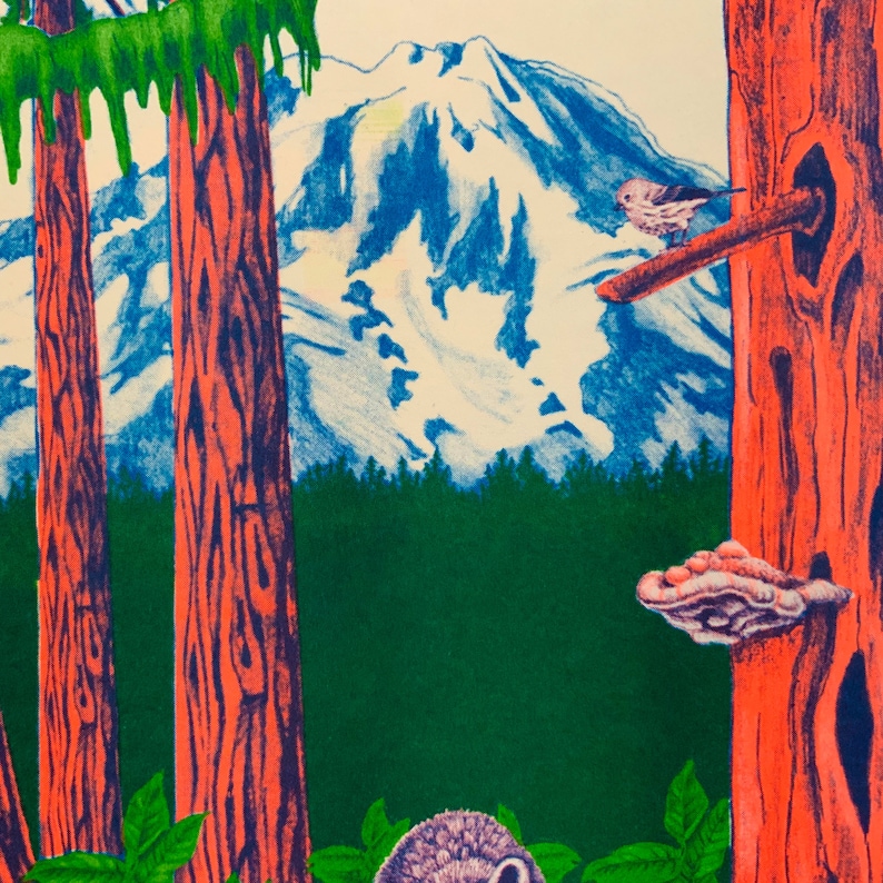 PNW Nature Scene Riso Print 11” X 17” - Etsy