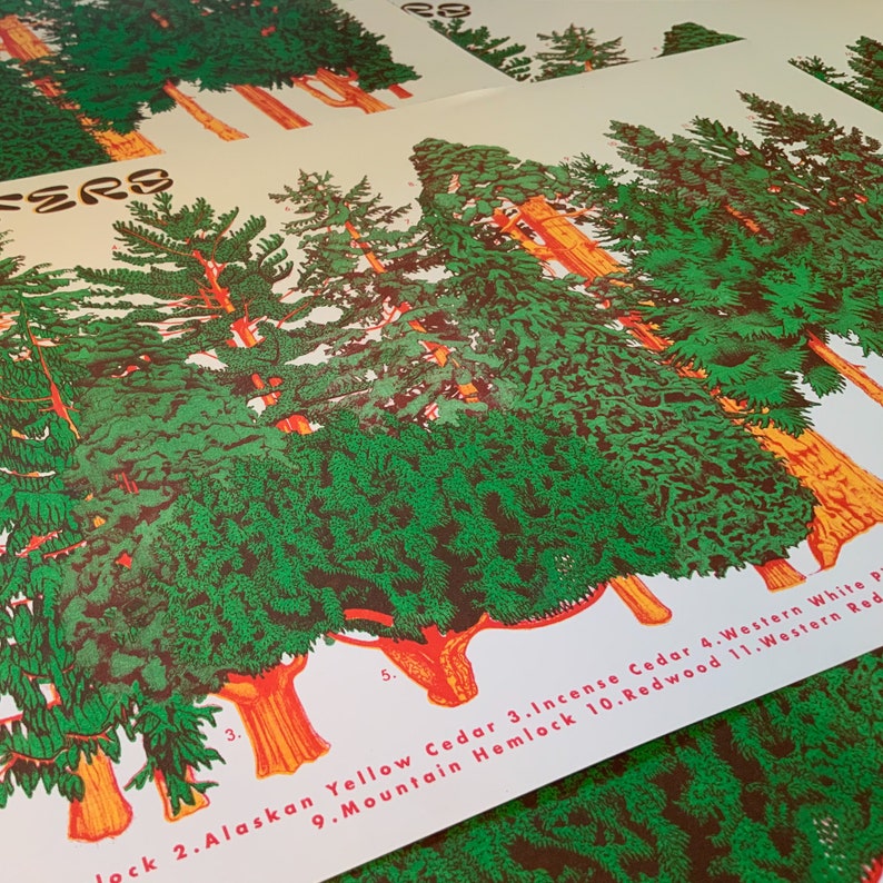 RISO 11 X 17 Conifer Tree Poster - Etsy
