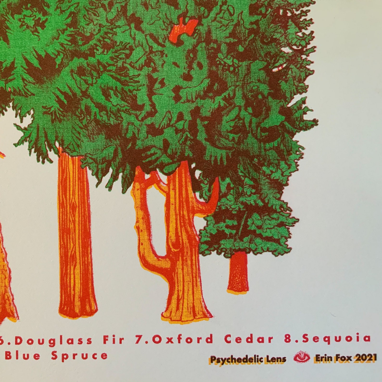 RISO 11 X 17 Conifer Tree Poster - Etsy