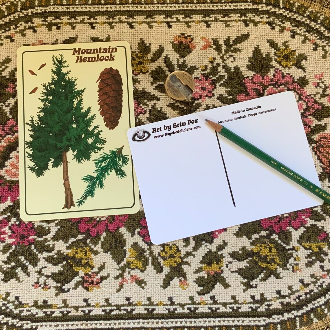 Illustrated Tree Identification Postcard Pack II - Etsy