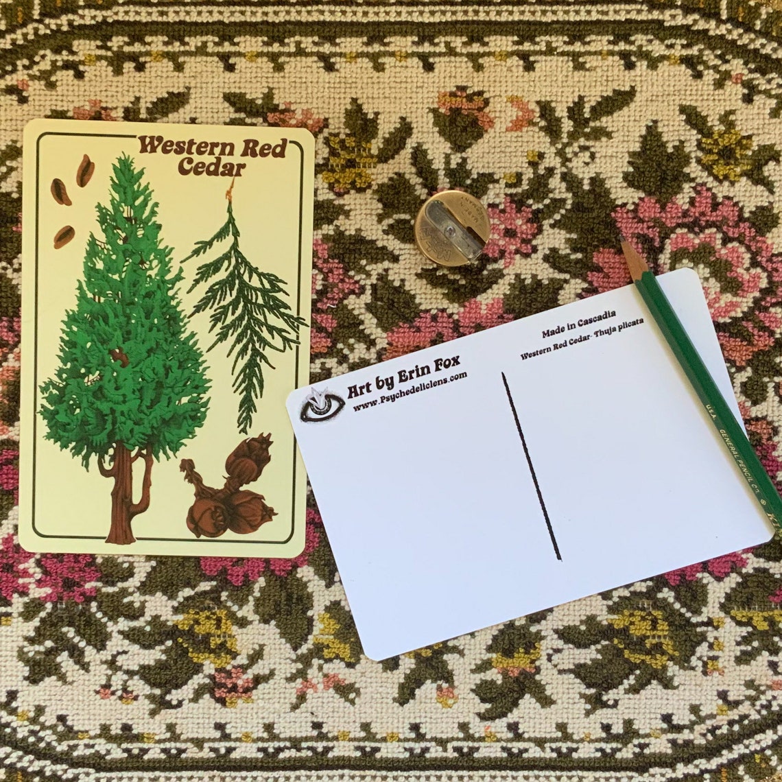 Illustrated Tree Identification Postcard Pack II - Etsy