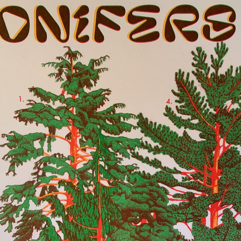 RISO 11 X 17 Conifer Tree Poster - Etsy