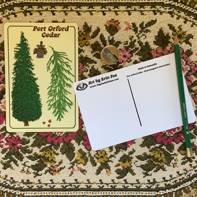 Illustrated Tree Identification Postcard Pack II - Etsy