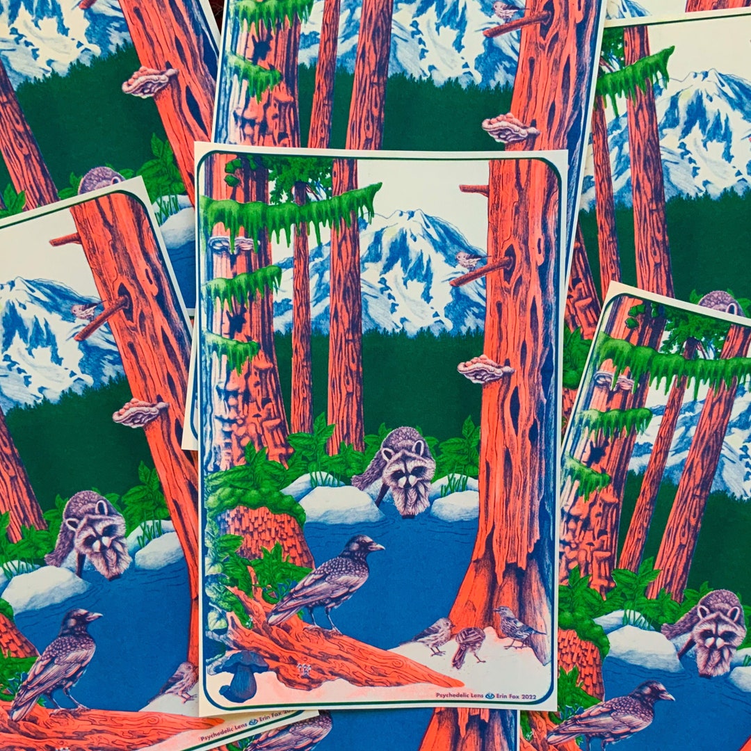 PNW Nature Scene Riso Print 11” X 17” - Etsy