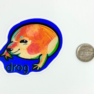 Weird 'drog' Sticker 3.5 Dog and Frog Meme - Etsy