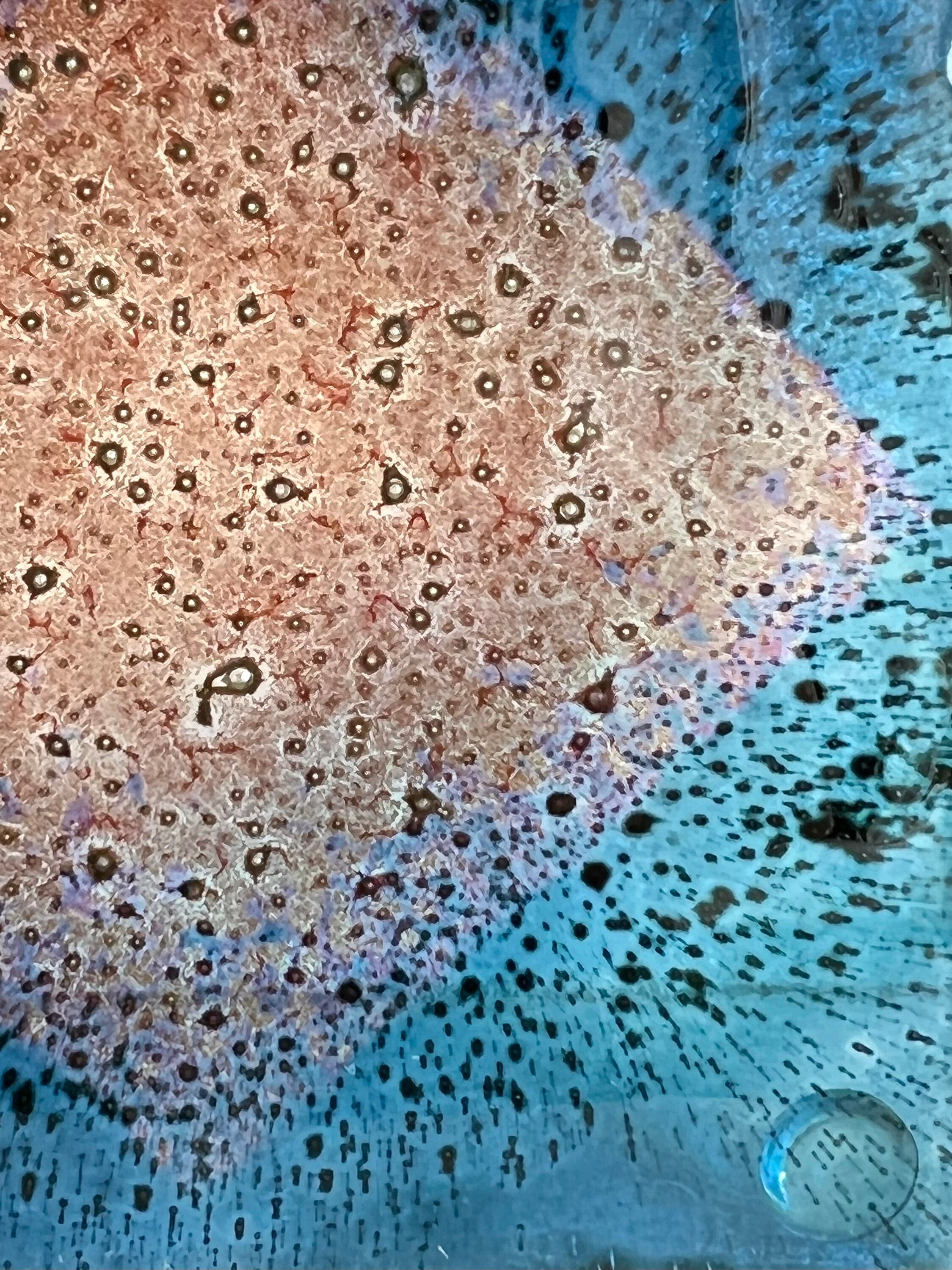 Sarah Broadhead Art Glass Pair of Coasters Handcrafted Glass - Etsy