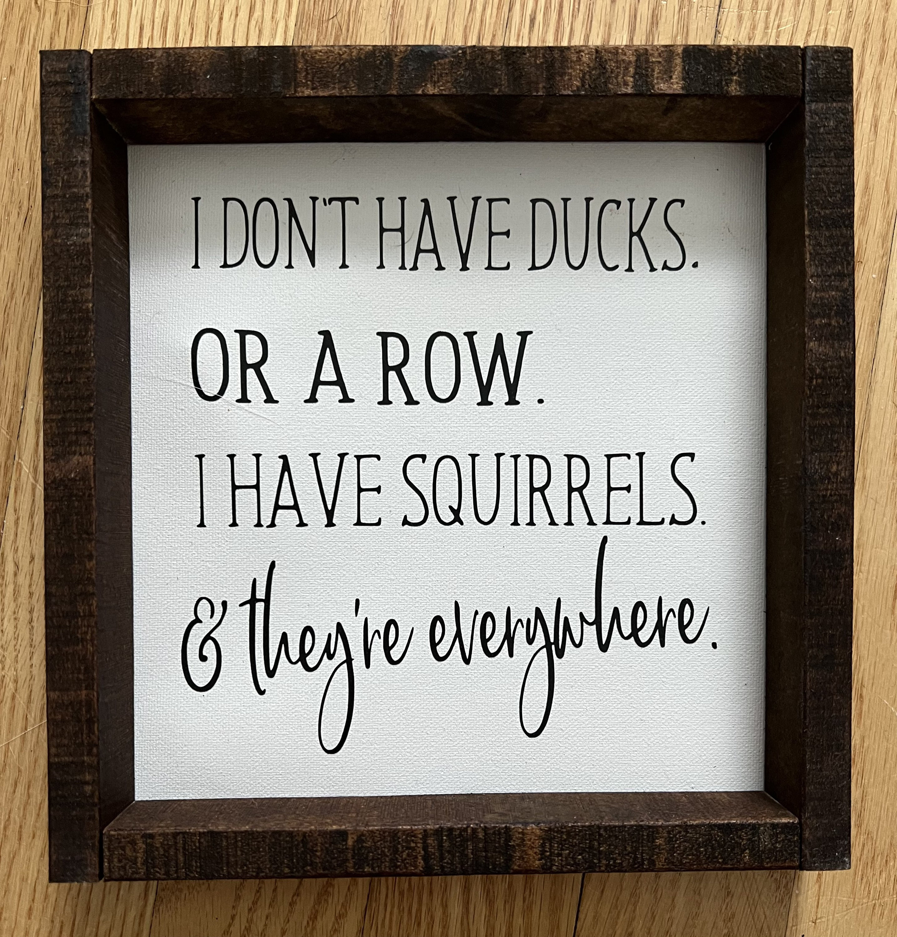 No Ducks No Row Sign | Funny Sign | Squirrels Are Everywhere ...