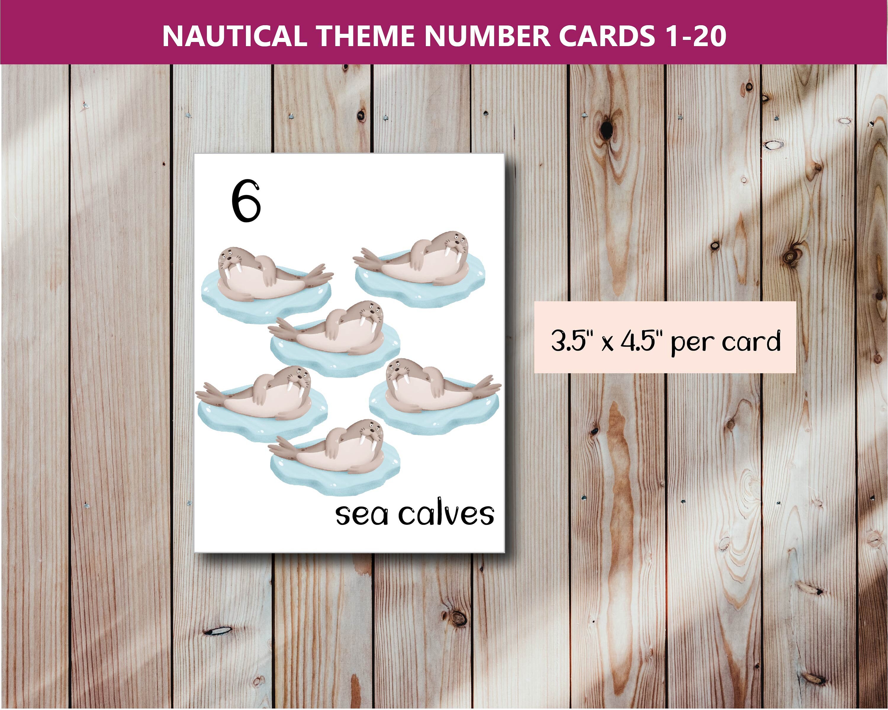 Number Flashcards 1-20 Nautical Sea Theme Number Recognition 1-20 ...