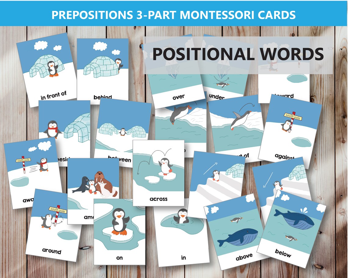 Prepositions 3-part Montessori Cards, Printable Positional Words ...